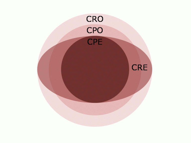Do you know your CRO from your CPO from your CRE from your CPE ...